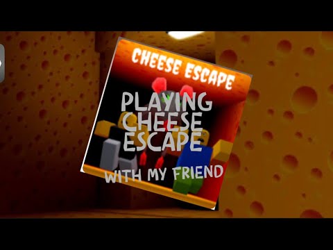Playing cheese escape with my friend
