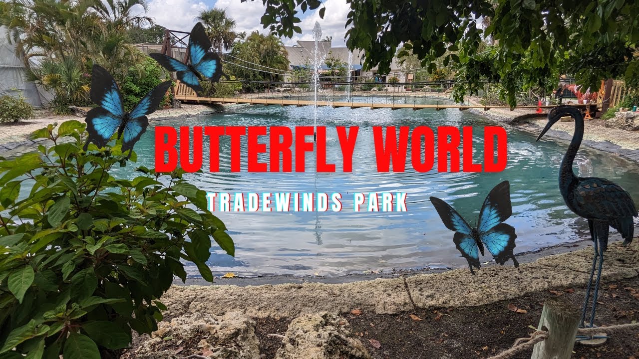 Butterfly World | Magical Experience | Exotic Birds | Waterfalls | Botanical Gardens - YouTube