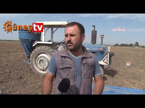 Adanalı Çiftçi: Şu An Tarlamıza Gübre Atamıyoruz. Ekmeğe Muhtaç Olacağız Bu Sene