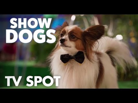 Show Dogs | \
