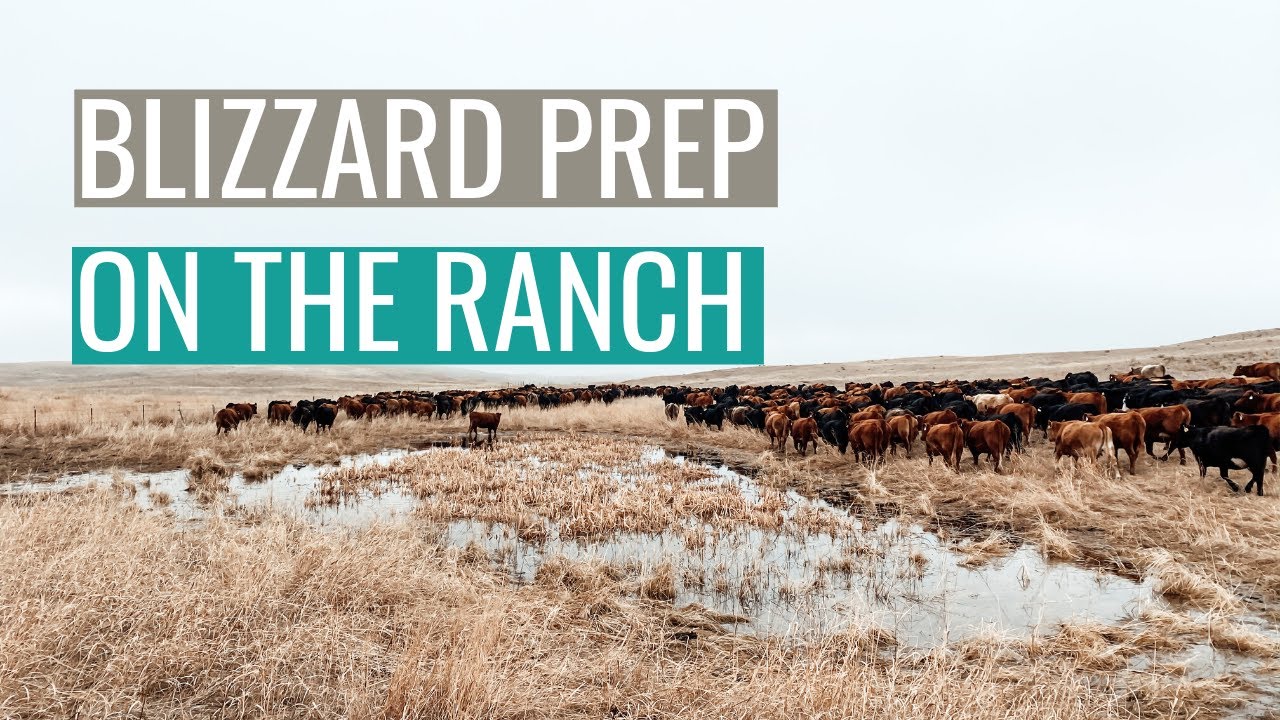 BLIZZARD PREP | Getting the ranch ready for a spring blizzard - YouTube