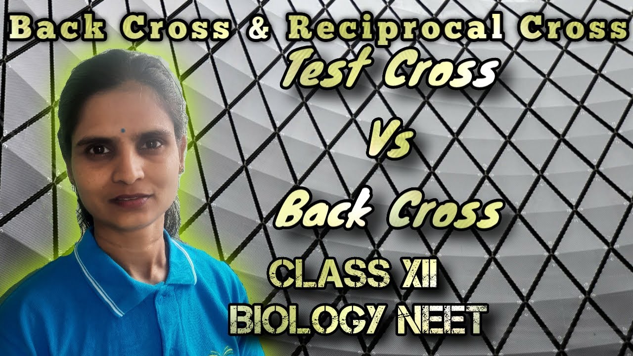 Back and Reciprocal Cross | Test Cross Vs Back Cross | Genetics | NEET ...
