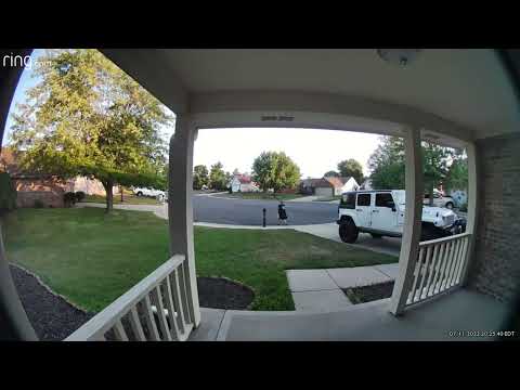 Wasps Attack Man at Mailbox || ViralHog