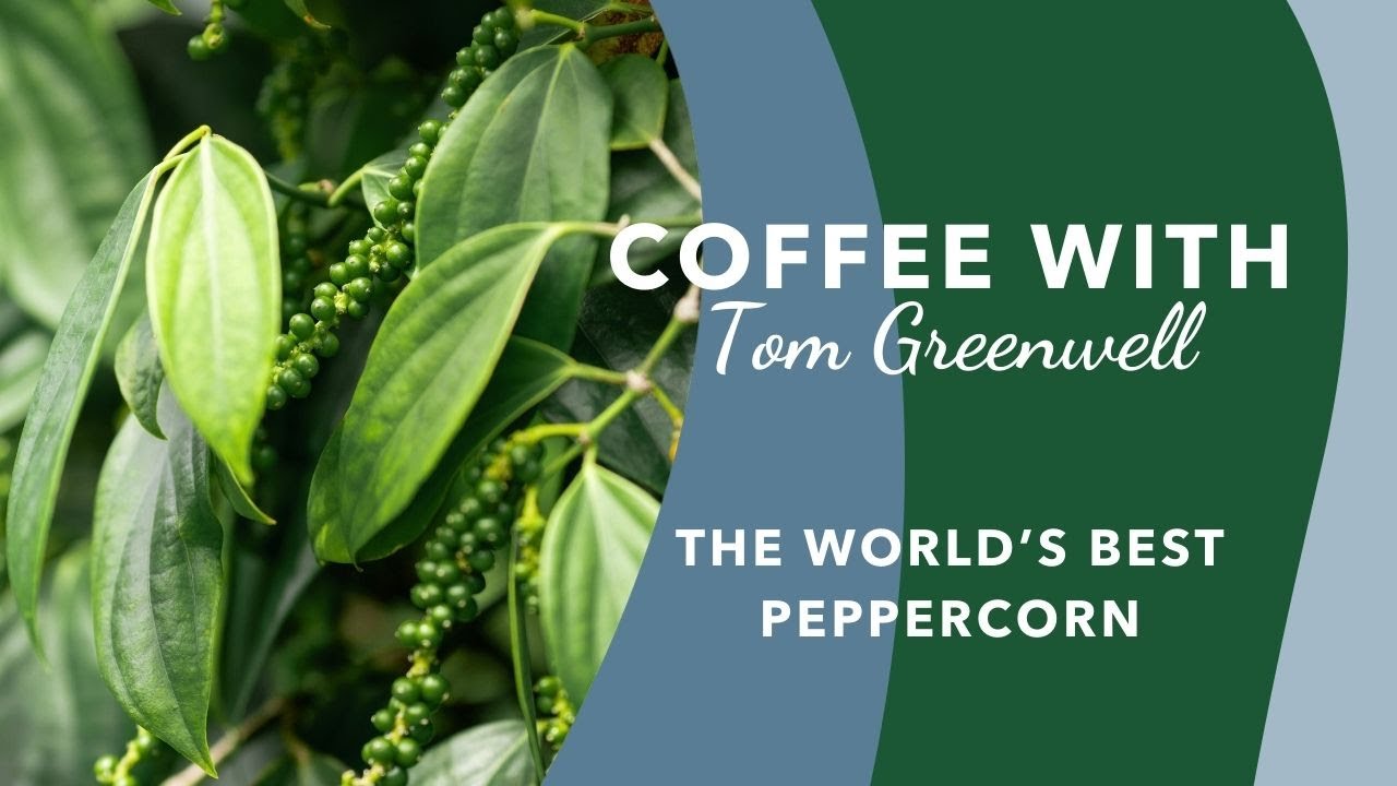 Coffee with Tom Greenwell: Episode 22, The World's Best Peppercorn - YouTube