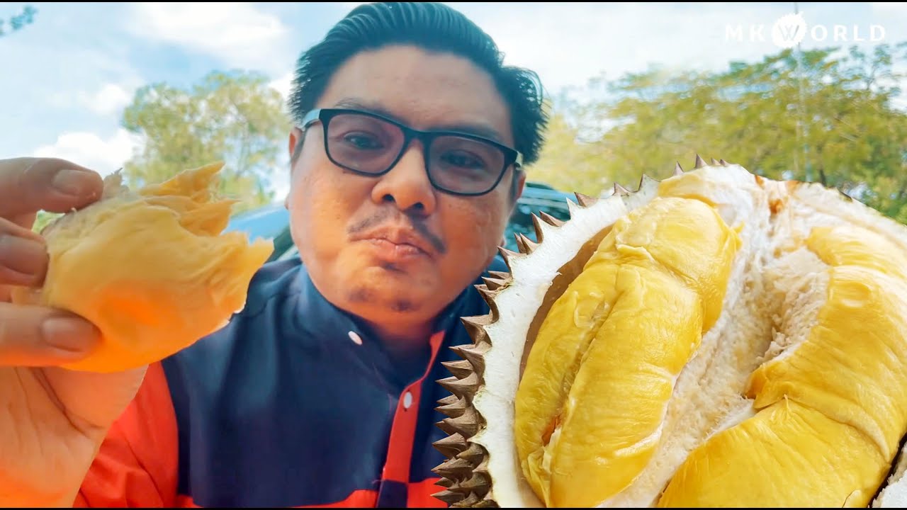 VLOG 01 REVIEW KLON DURIAN XO 88 & 197 MUSANG KING | MKWORLD - YouTube