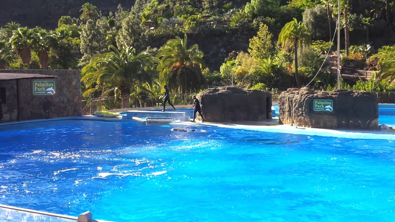 De seje dyr 2 - YouTube