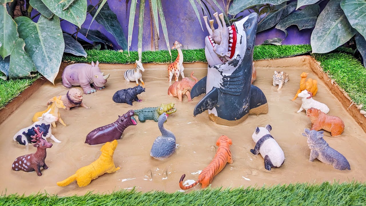 Muddy Animal Extravaganza: Rescuing Domestic & Zoo Animals in the Mud ...