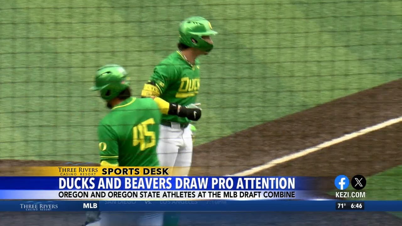 Ducks and Beavers Draw Pro Attention - YouTube