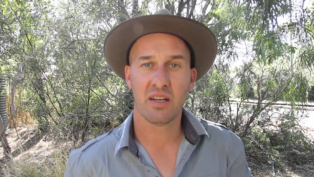Matty Day for Alice Springs Council - YouTube