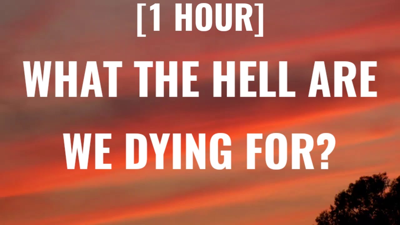 Shawn Mendes - WHAT THE HELL ARE WE DYING FOR? [1 HOUR/Lyrics] - YouTube