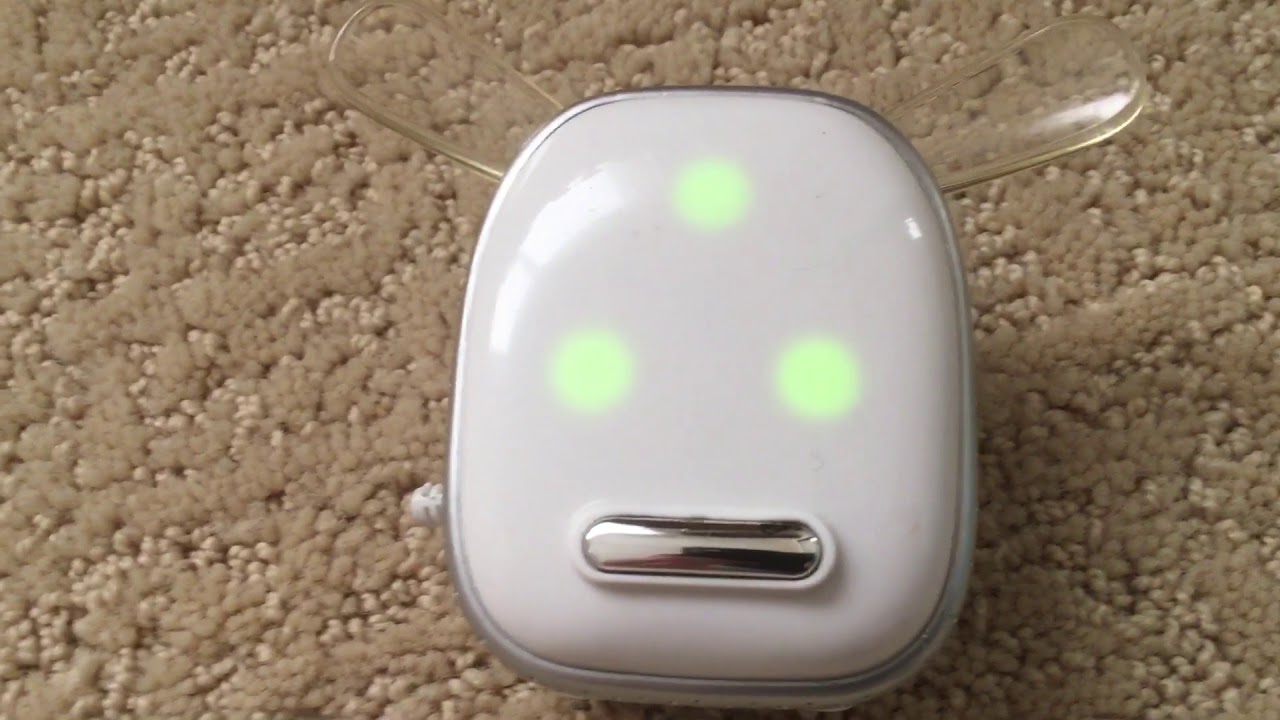 I-Dog Clip - Excited Riffs - YouTube