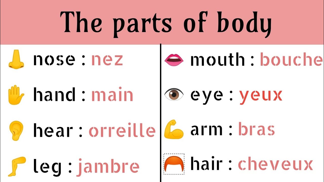 les parties du corps en anglais / the parts of body in English - YouTube