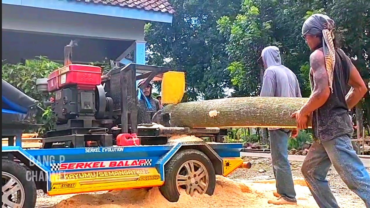 Gergaji mesin kayu serkel Rakitan membelah kayu kapuk besar bahan papan ...