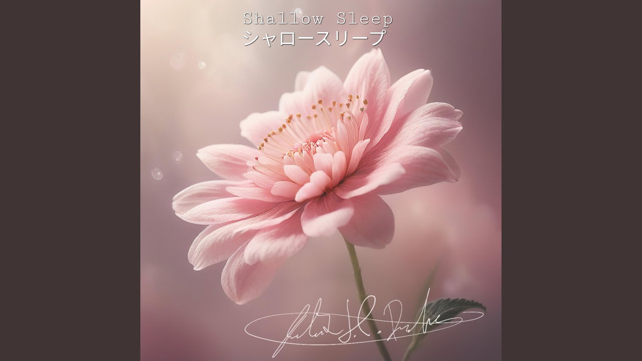 SHALLOW SLEEP - YouTube