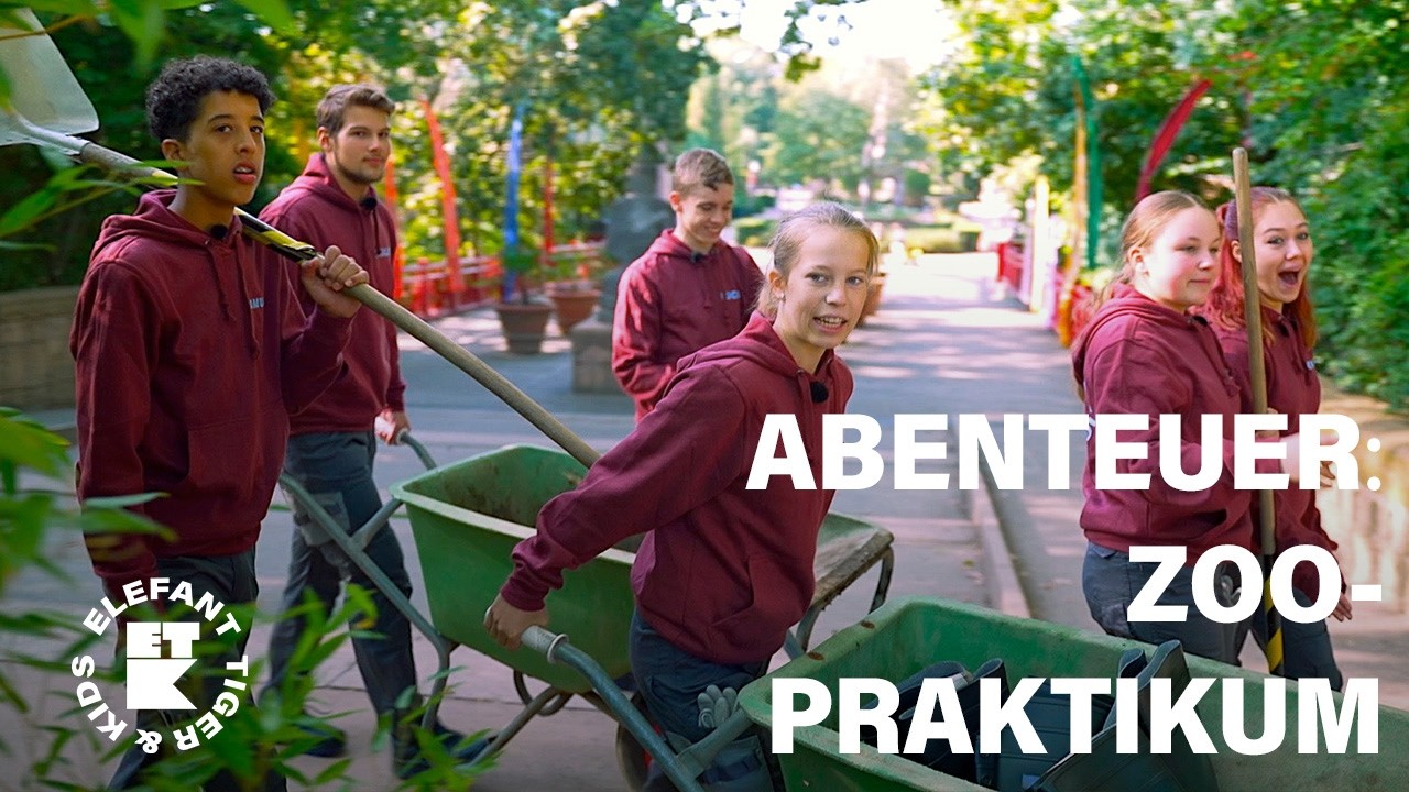 🐘 Elefant, Tiger & Kids - Staffel 2 in der ARD Mediathek - YouTube