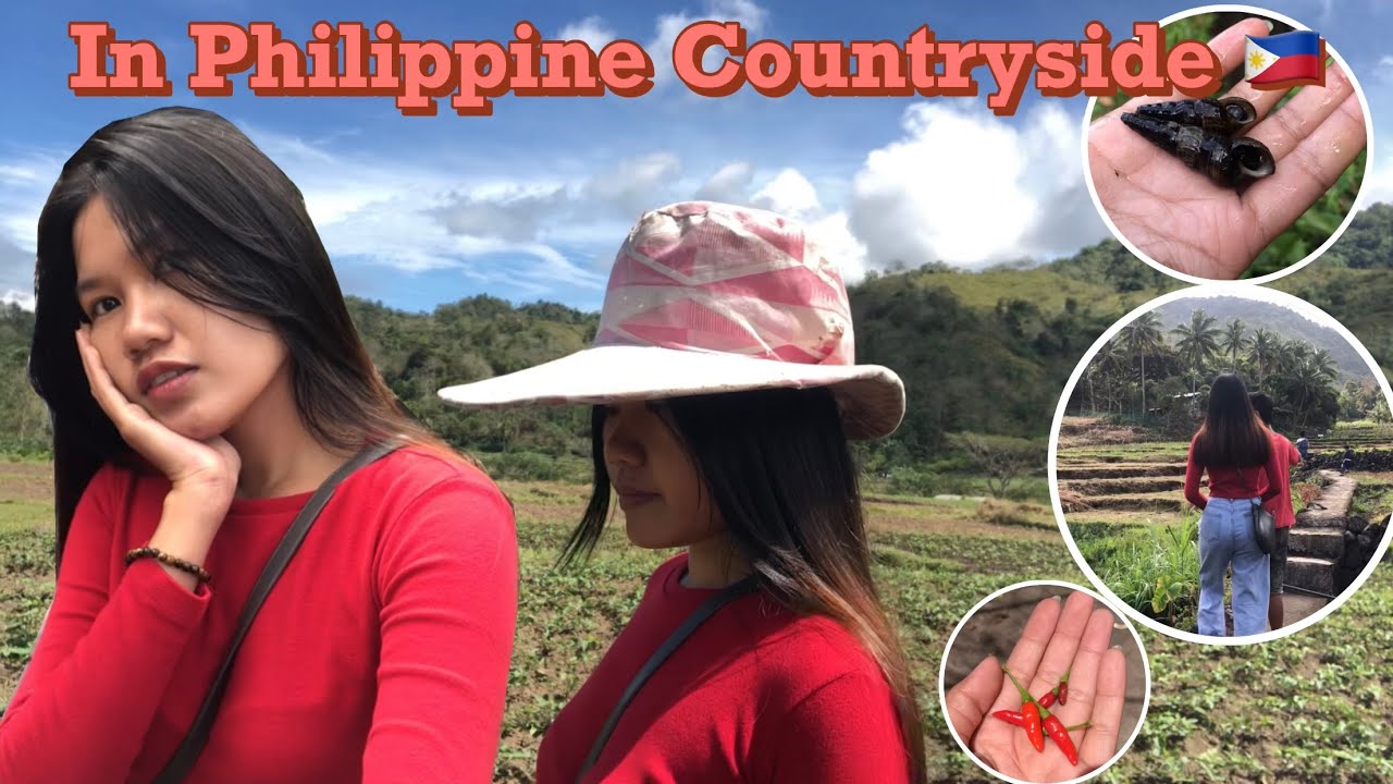 🇵🇭 PHILIPPINE COUNTRYSIDE VLOG | NAMASYAL SA TANIMAN NG KAMATIS 🌱🍅 KUMUHA NG SUSU 🐌🐚 - YouTube