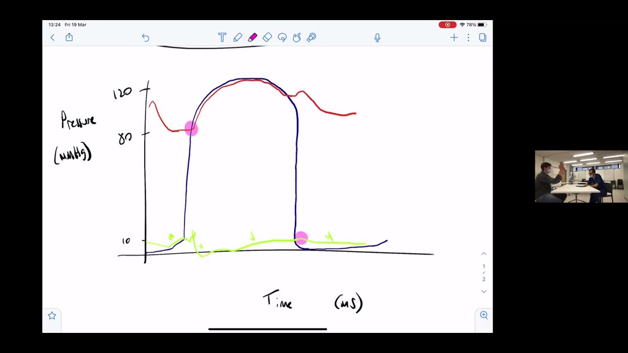 FRCA Friday 11 - Cardiac Cycle - YouTube