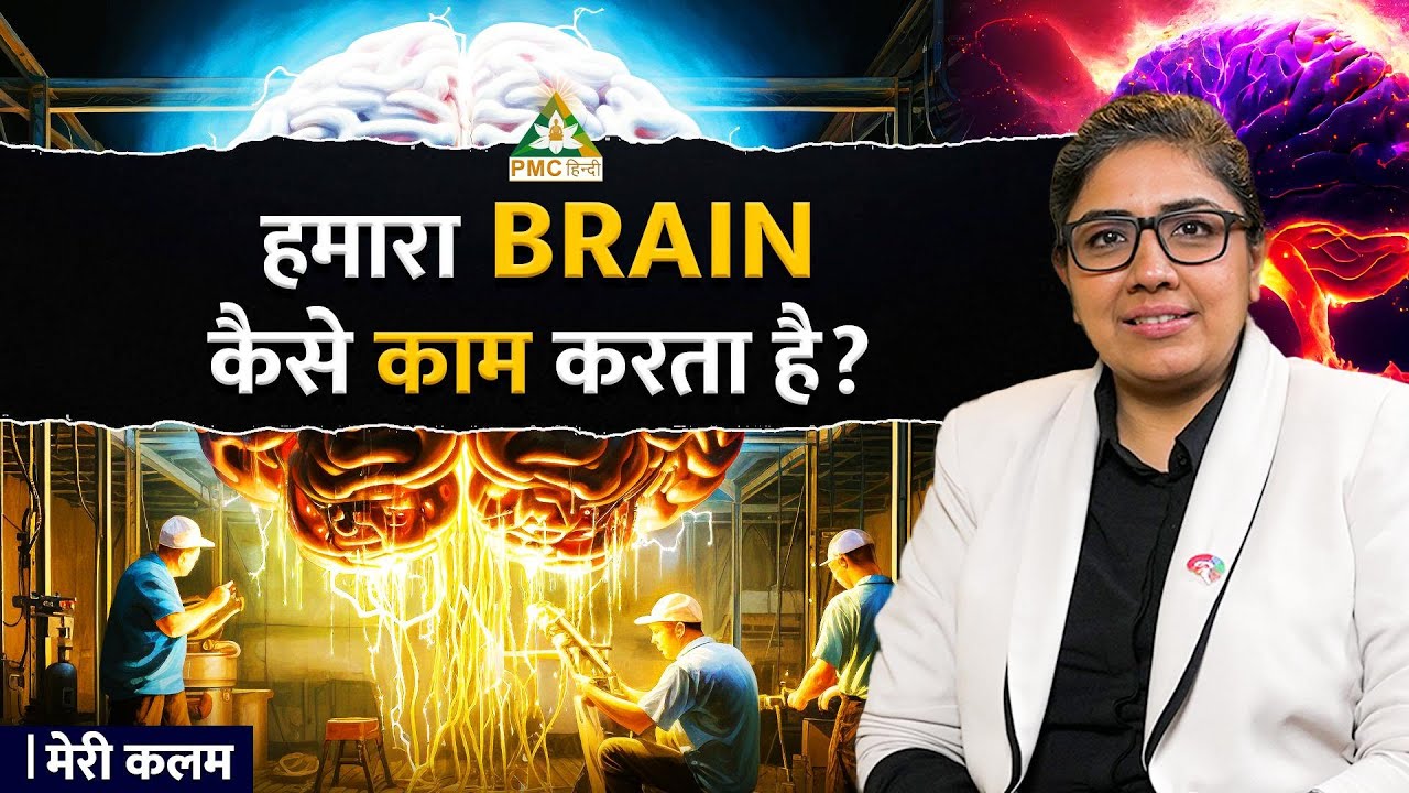 How Does the Brain Function? | Meri Kalam | @drsweta.adatia - YouTube