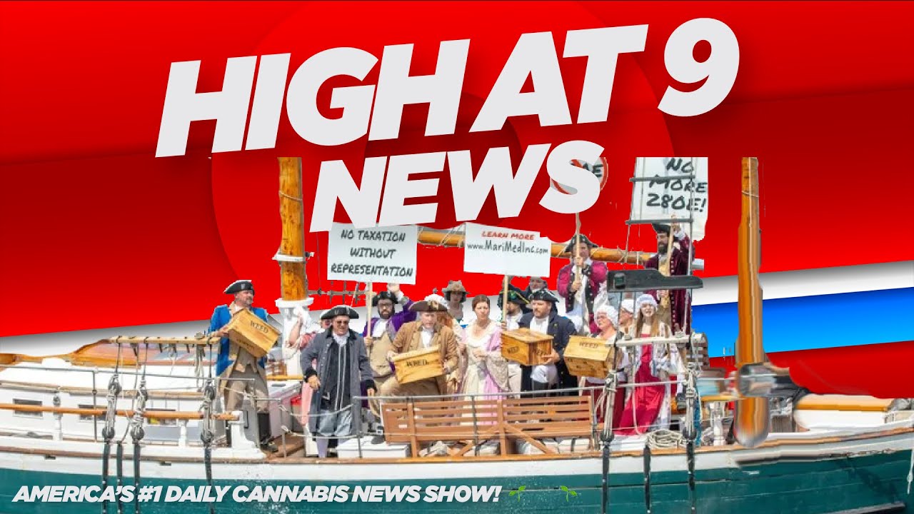 Hi At 9 News : Friday July 28th, 2023 - YouTube