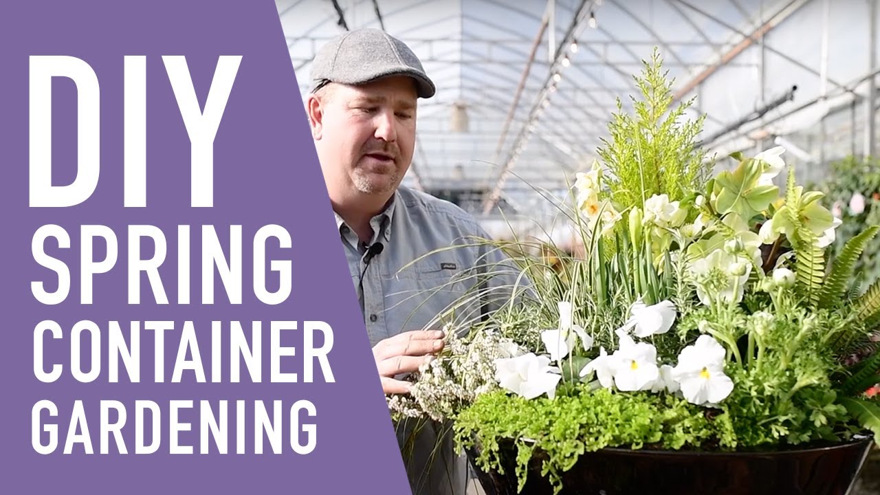 Early Spring Container Gardening 🌸 || West Coast Gardens - YouTube