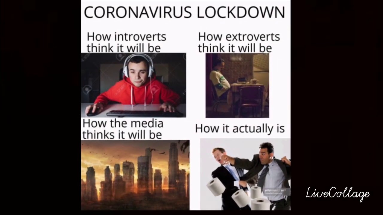 3 minutes on relatable quarantine memes😂 - YouTube