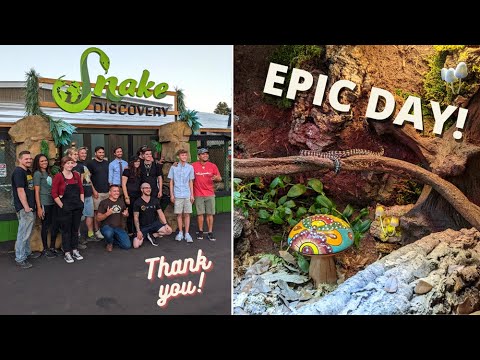 Snake Discovery Enclosure Build-off 2021 - The most EPIC Day! - YouTube