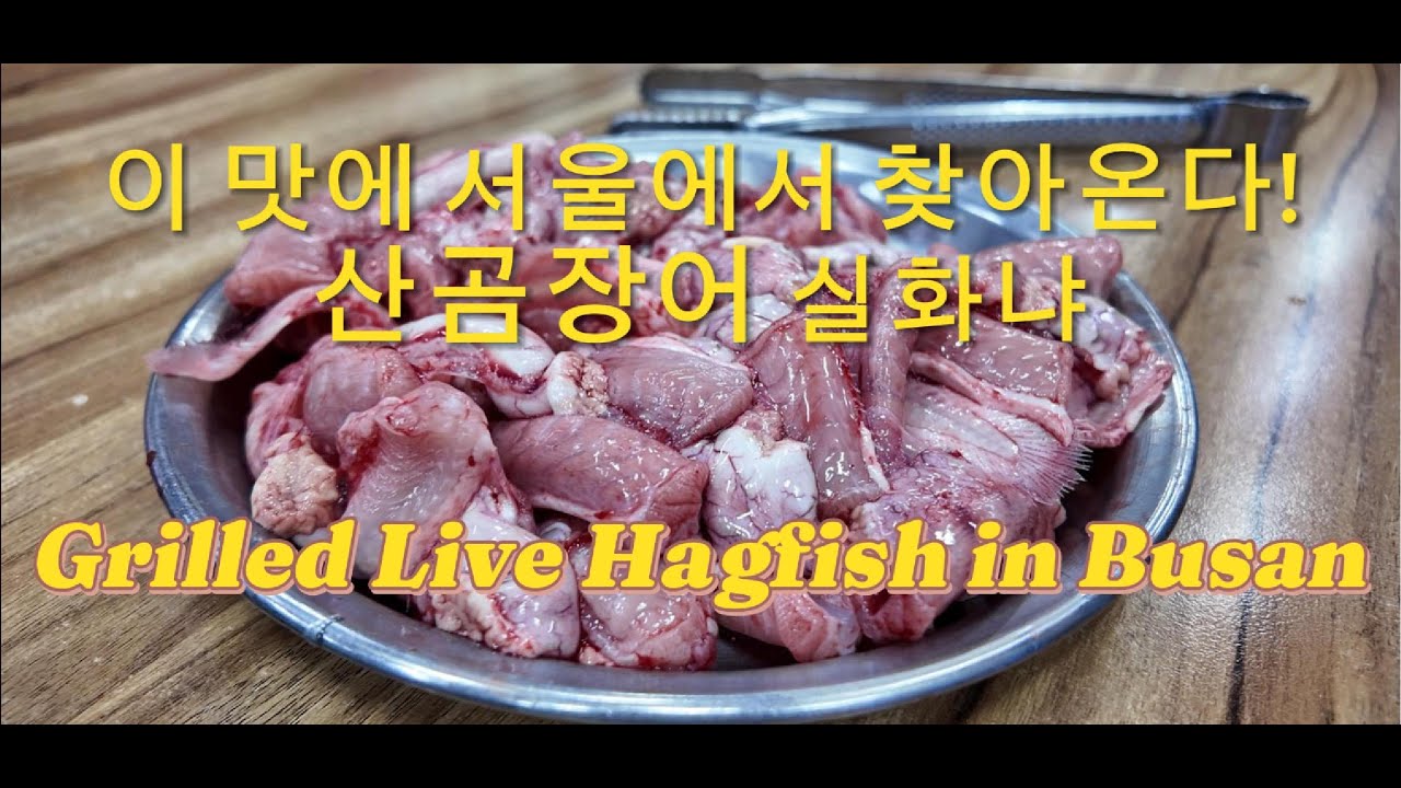 (부산맛집) 산 곰장어 구이 맛집 원조 여의주 장어구이 / Grilled Live Hagfish in Busan #부산 #맛집 ...