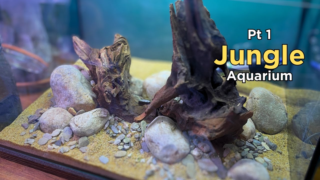 How to: Pt 1 Hardscape. I built a nano Jungle Aquascape (No C02 Walstad ...