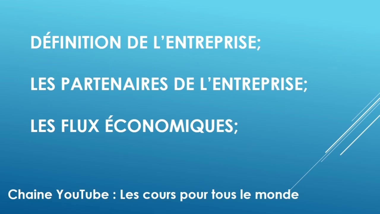 définition de l'entreprise, les partenaires de l'entreprise, les flux ...