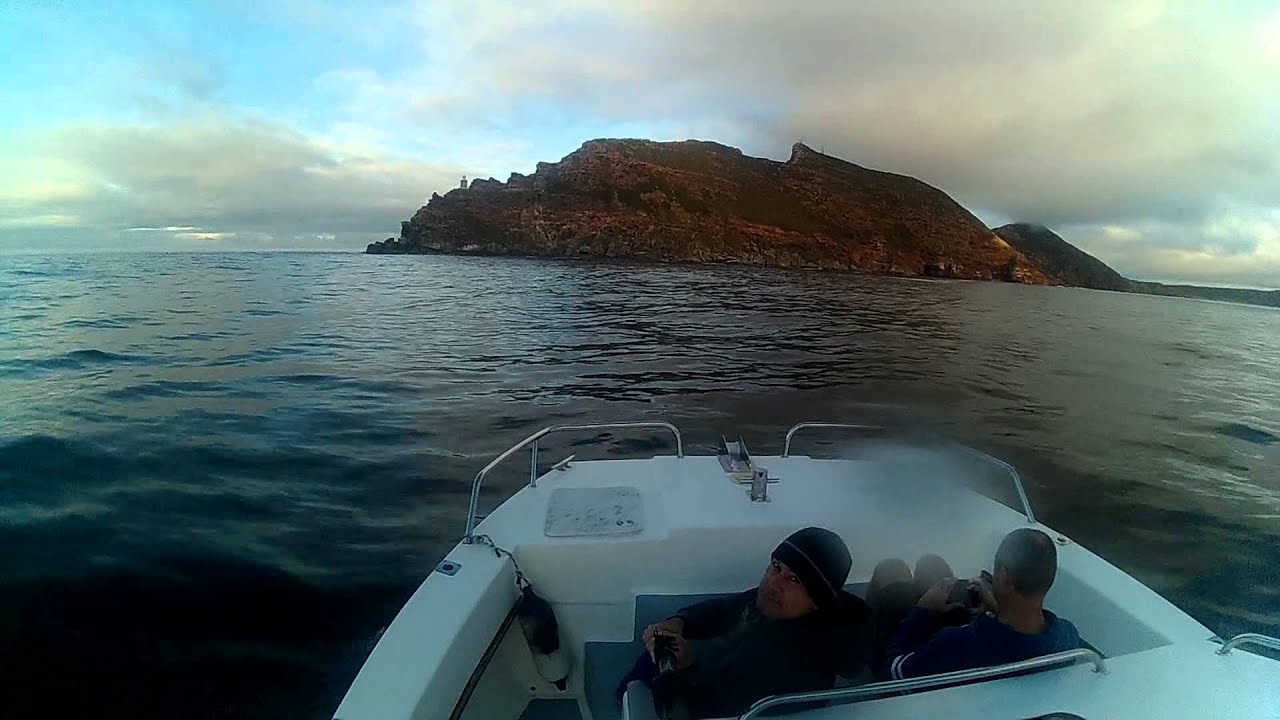 Fishing in Cape Town/False bay for Yellowtail - YouTube