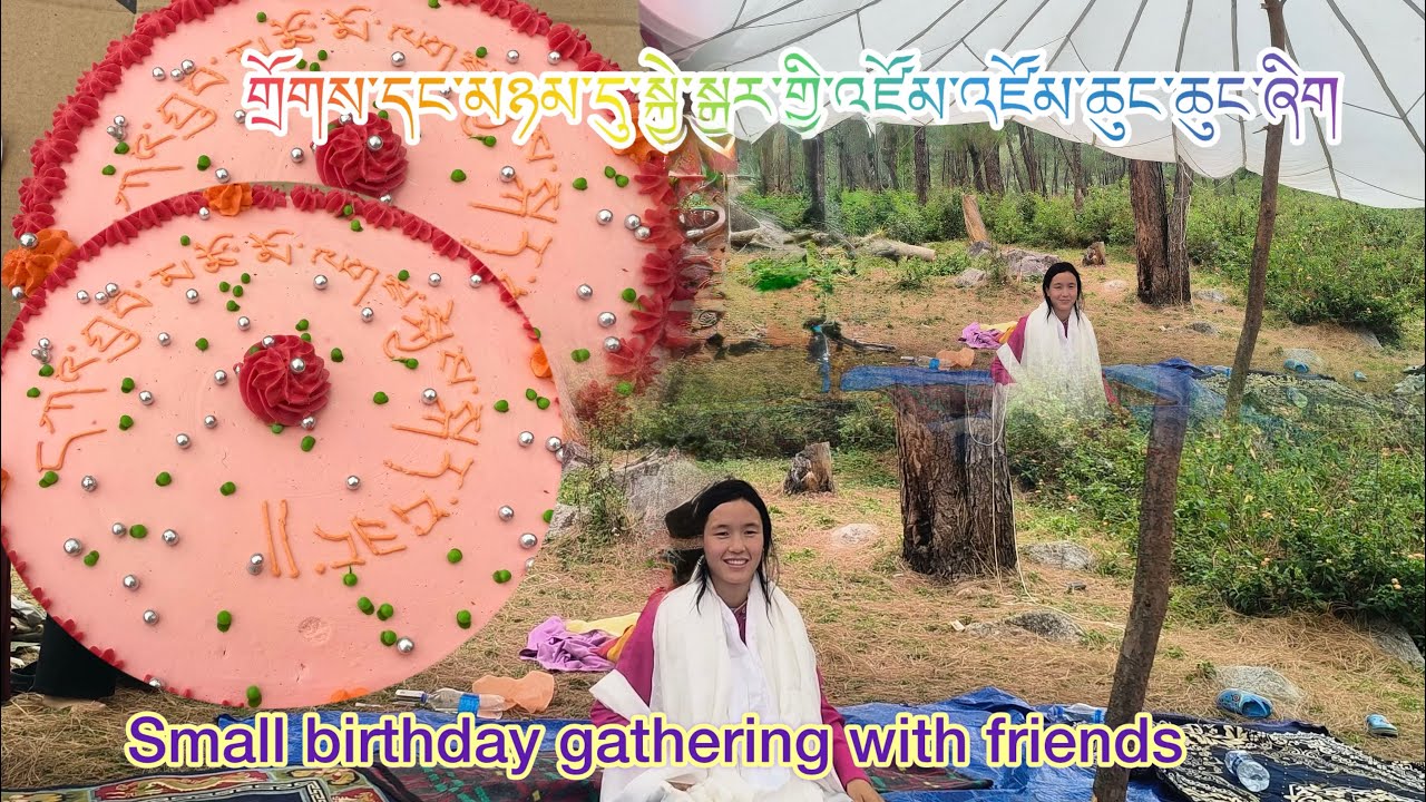 གྲོགས་དང་མཉམ་དུ་སྐྱེ་སྐར་གྱི་འཛོམ་འཛོམ་ཆུང་ཆུང་ཞིག Small birthday ...