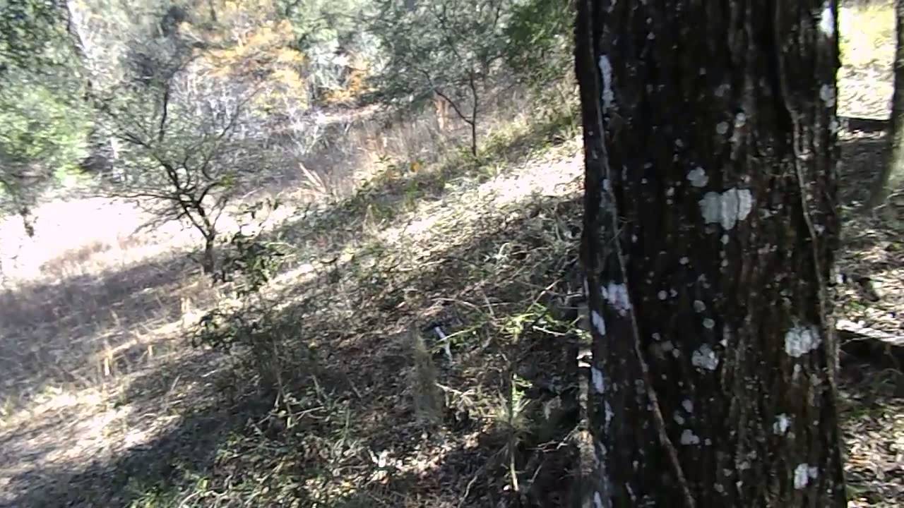 Withlacoochee State Forest - Croom - Railroad Ruins - YouTube