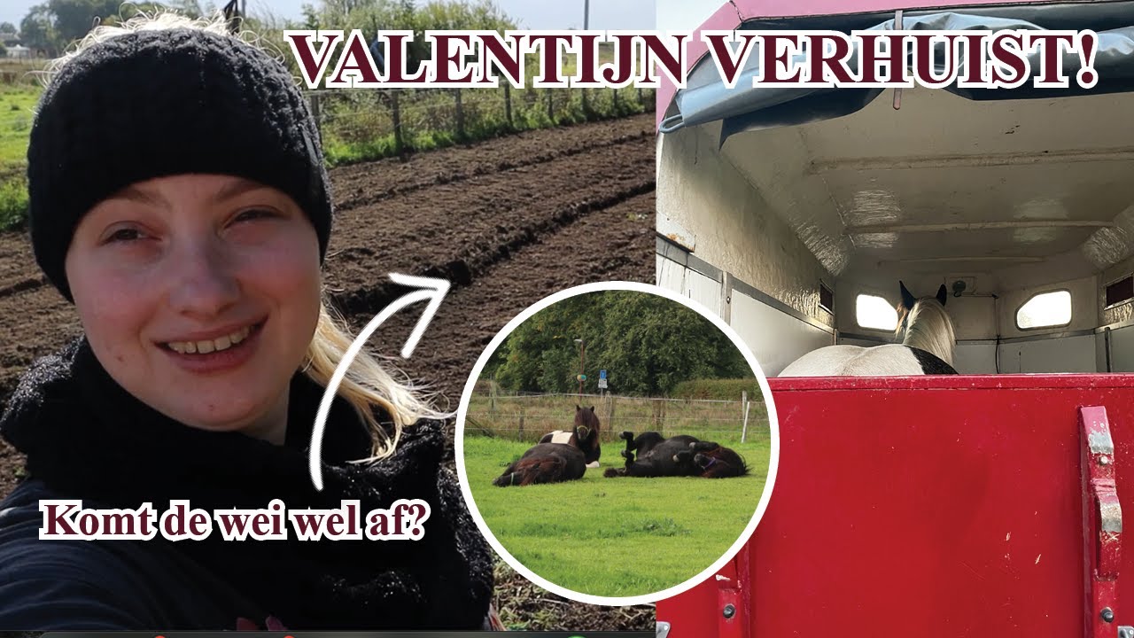 RACE tegen de KLOK om Valentijn te VERHUIZEN! 😬 | Vlog #24 | Dwally's ...