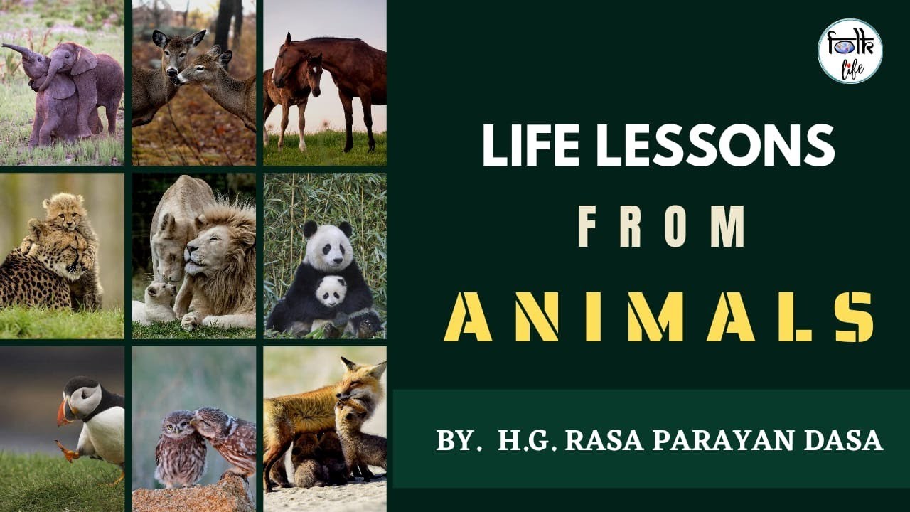 Life lessons from ANIMALS | HG Rasa Parayan Das - YouTube
