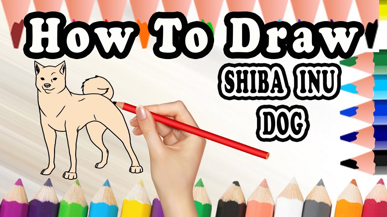 How To Draw A Shiba Inu DOG | Draw Easy For Kids - YouTube