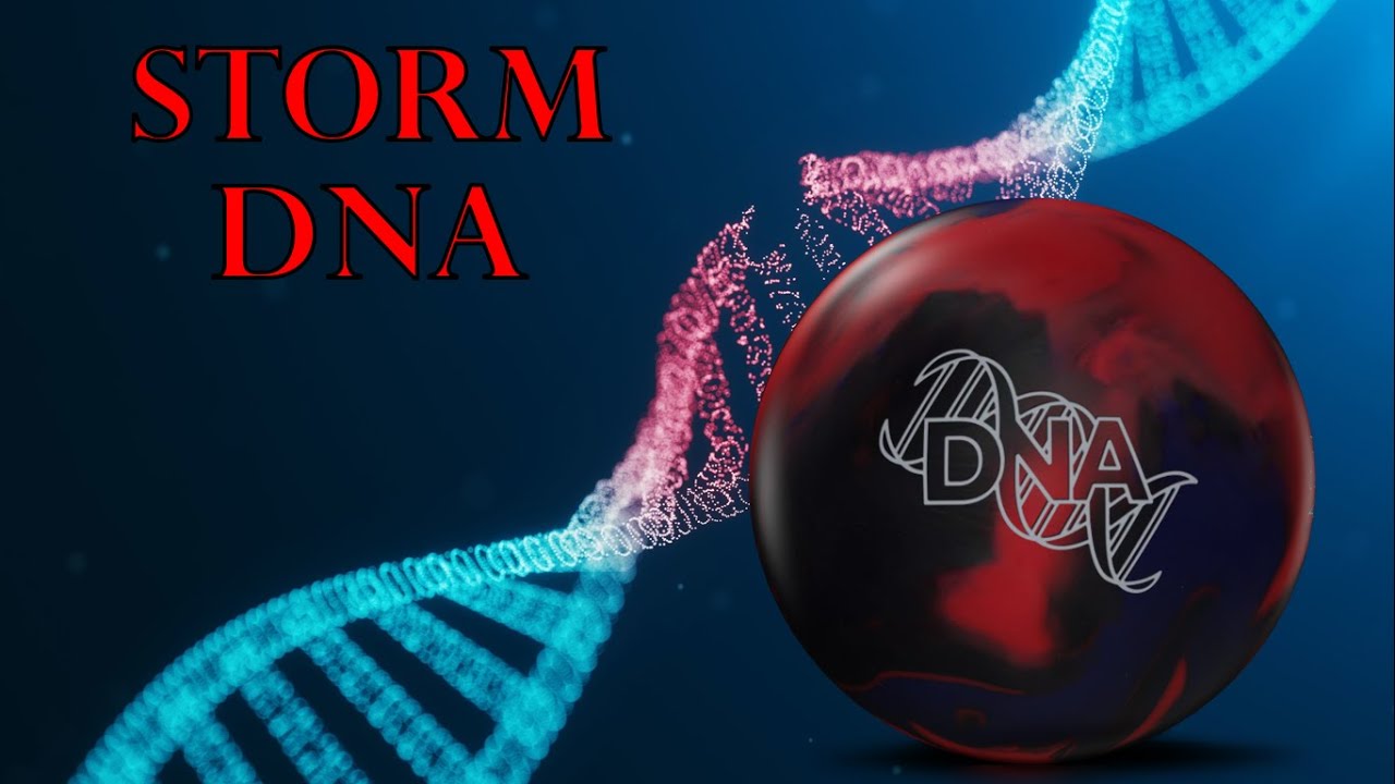 DNA | Storm - YouTube