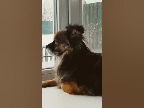 Народная медицина - YouTube