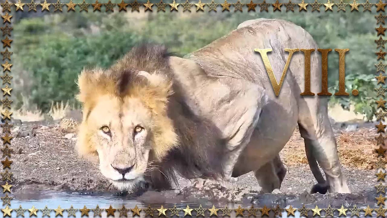 Behold. I am RA, "The Golden Lion, The Immortal Eagle, The Golden Light ...