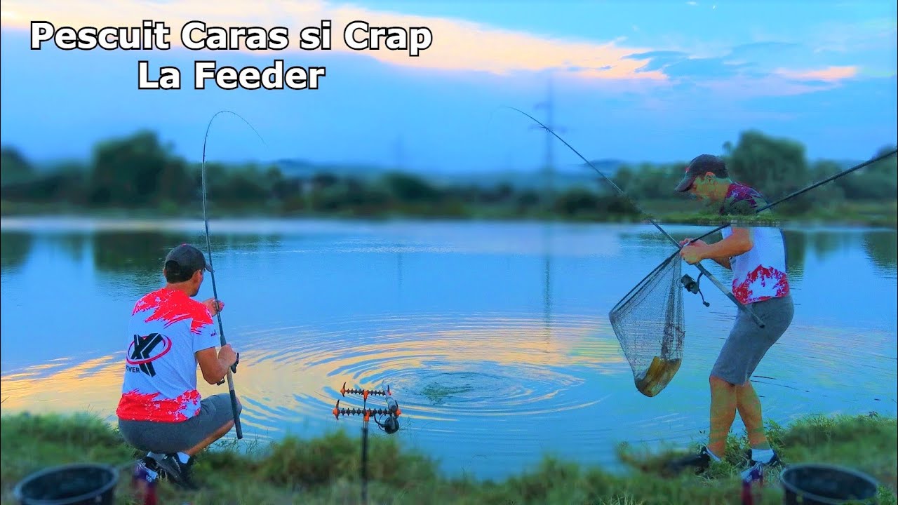 Pescuit CARAS si CRAP La Feeder Pe Seară și Noaptea, cu STARLEȚI la ...