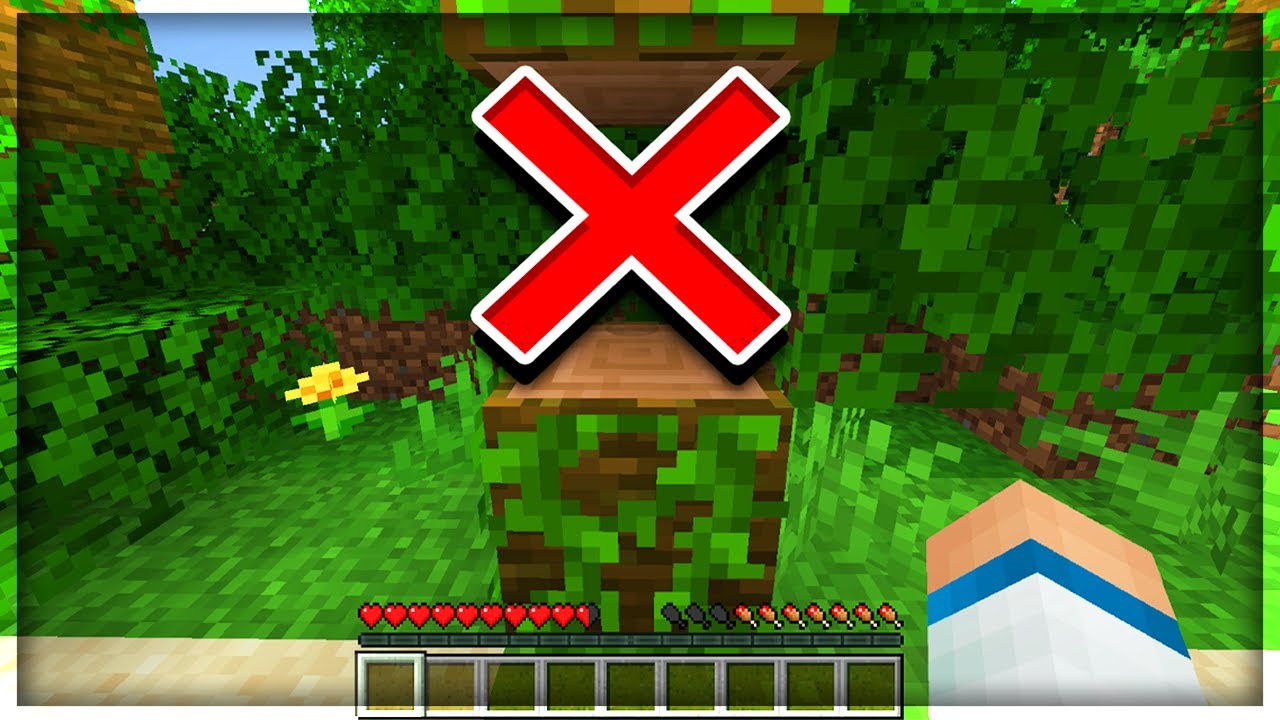 Playing Minecraft The Real Life Way (Minecraft Challenge) - YouTube