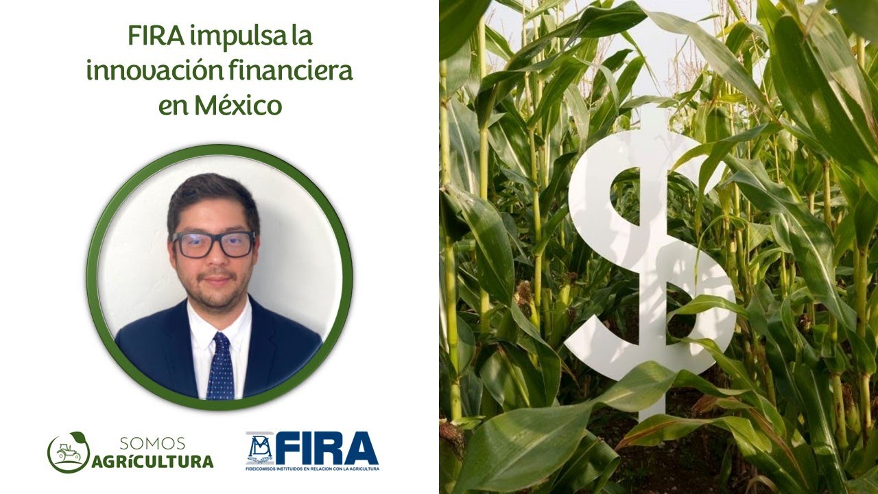 FIRA impulsa la innovación financiera en México - YouTube