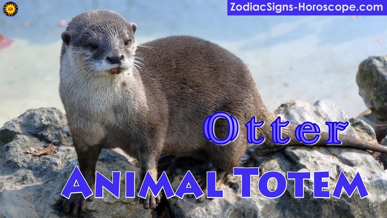 Otter Animal Totem - Otter Spirit Animal Meaning, Symbolism, Dream of ...