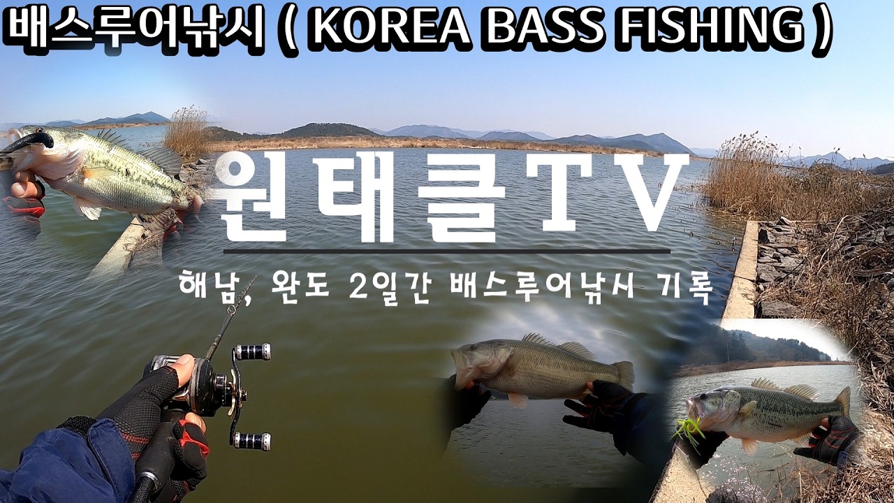 해남, 완도 배스루어낚시 2일간 기록 이럴줄 알았으면 동네 낚시터에서 낚하지 고천암호, 완도호 KOREA BASS FISHING ...