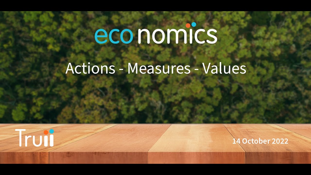 eco-nomics Planning - Actions Measures Values - YouTube