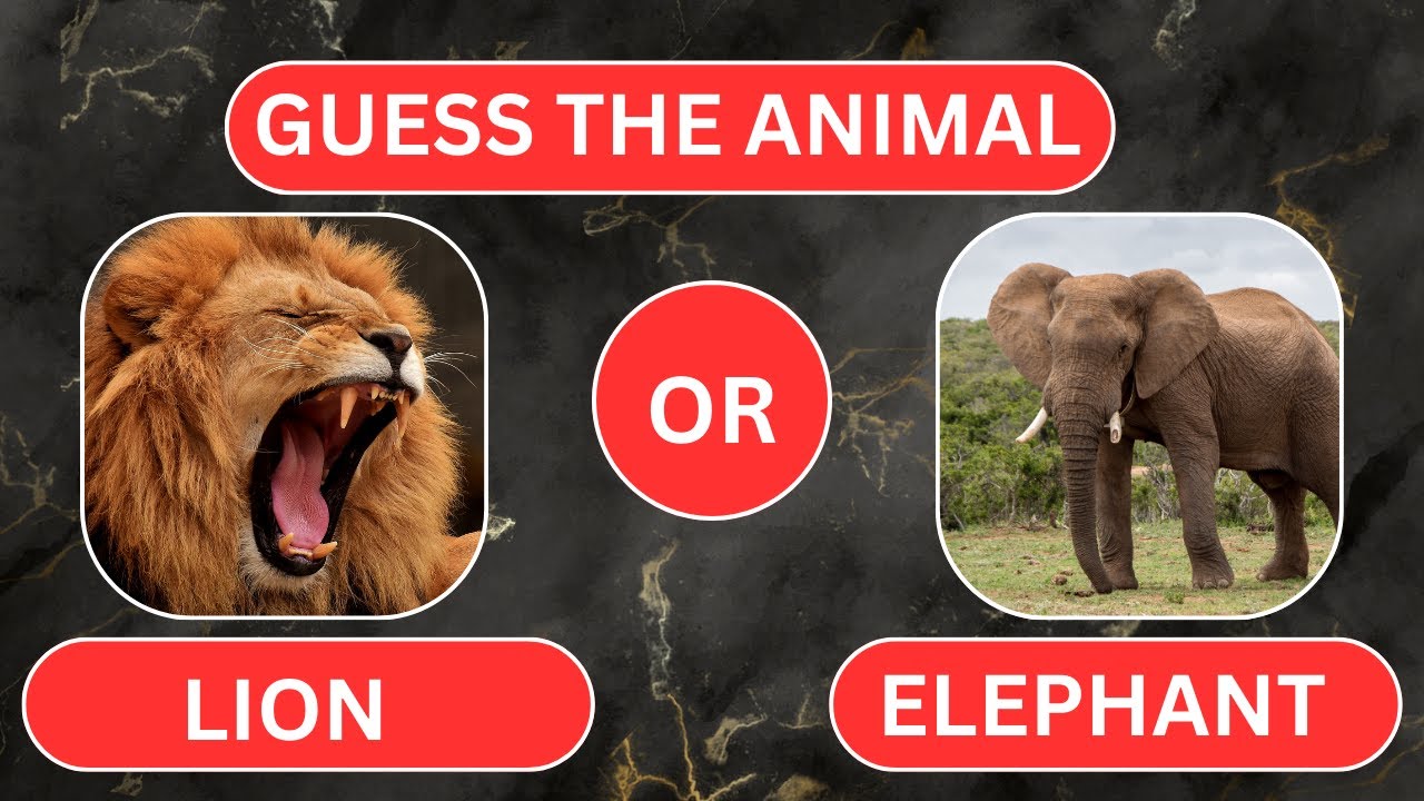 GUESS THE ANIMAL#education #quiz #trivia #knowledge #challenge #puzzles ...