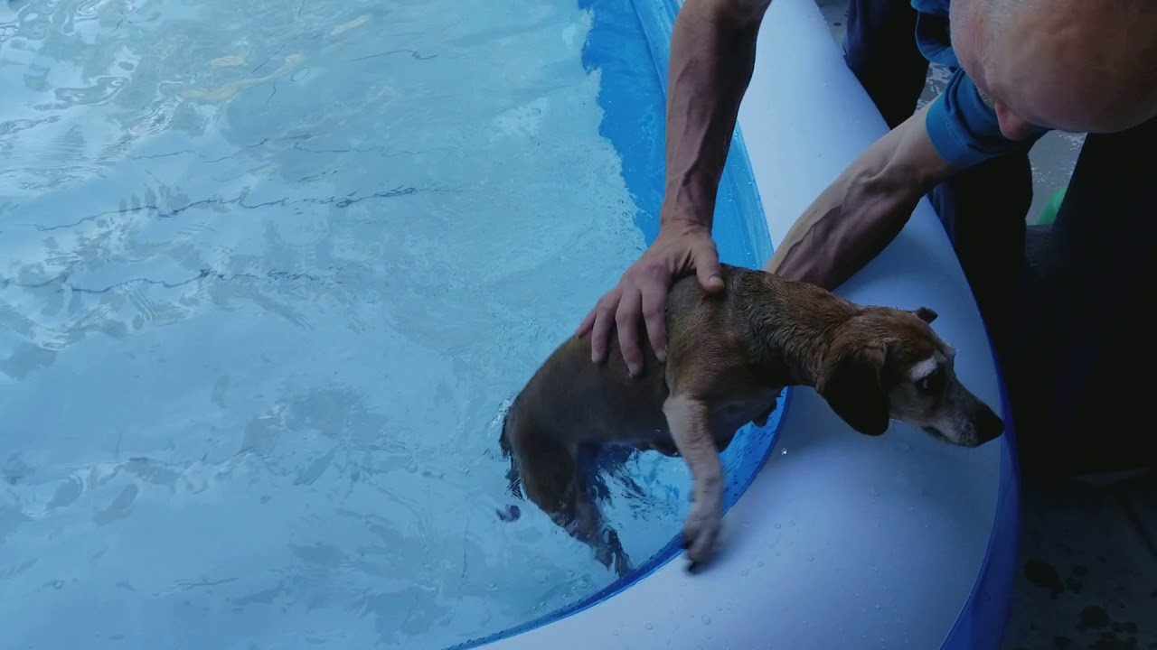 Momo like swim - YouTube