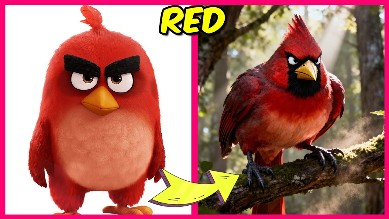 All 😡 Angry 🐦 Birds Movie Characters in Real Life 🔥+ Guess By Their ...