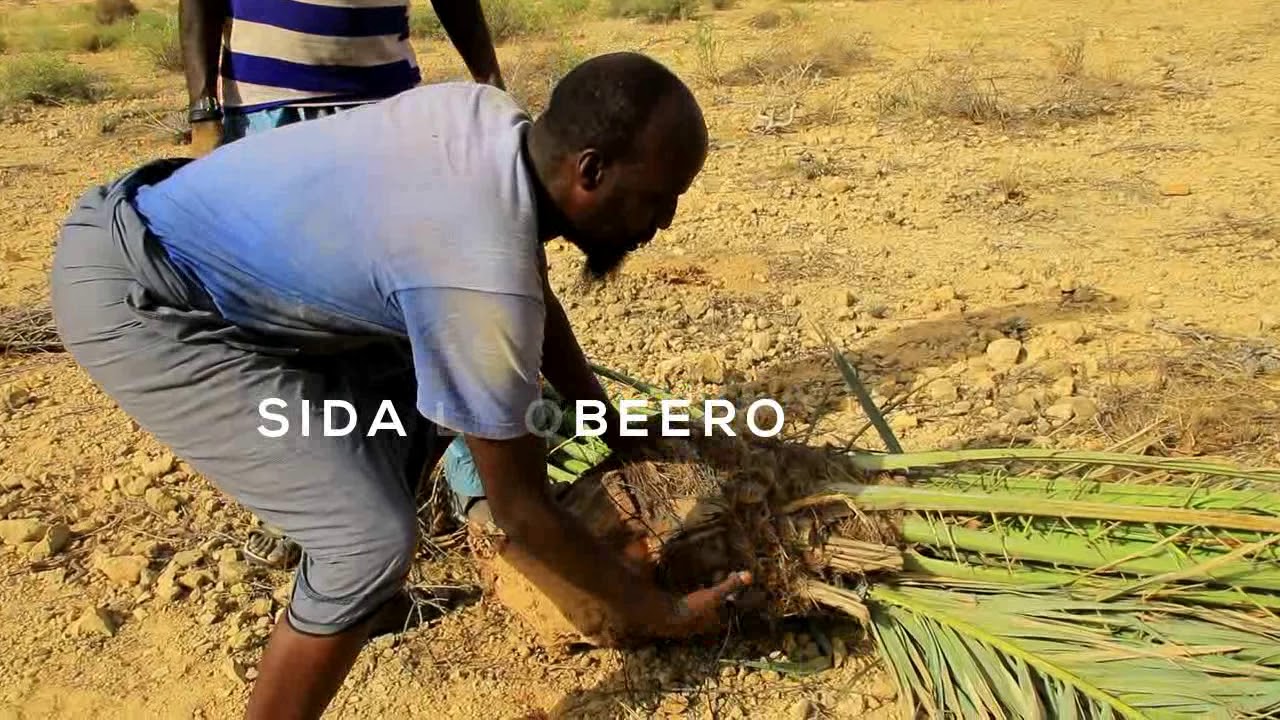 Habka Beerista Timirta - YouTube