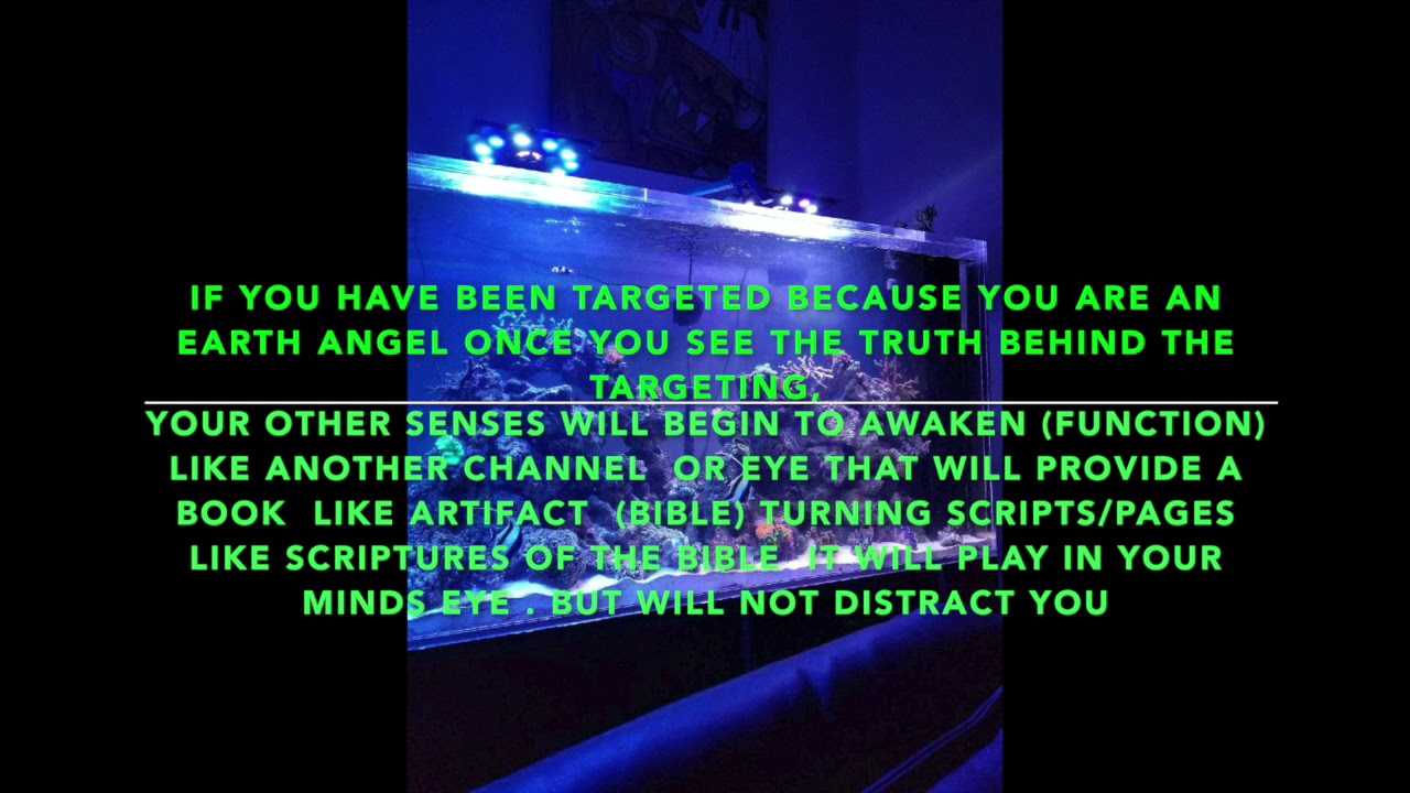 TI (TARGET INDIVIDUAL) AWAKENING UPDATE - YouTube
