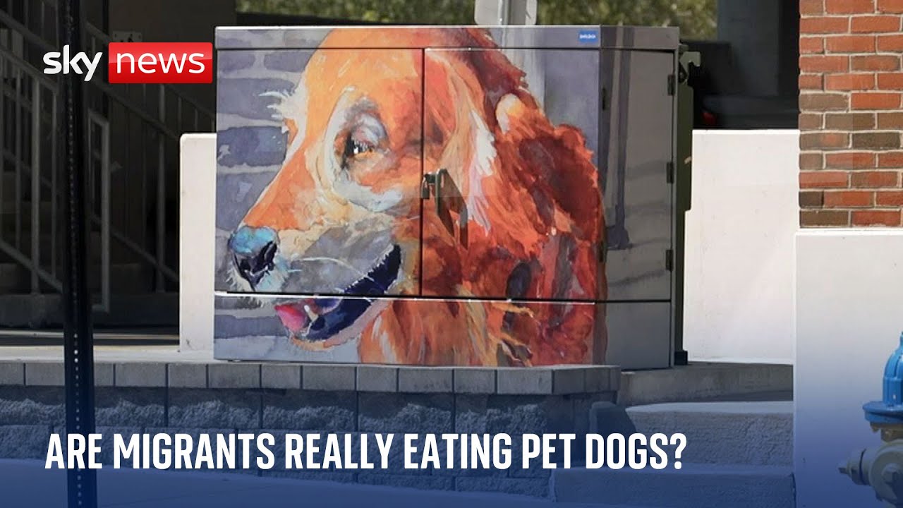 Special report: Are Haitian migrants really eating Springfield's pet ...